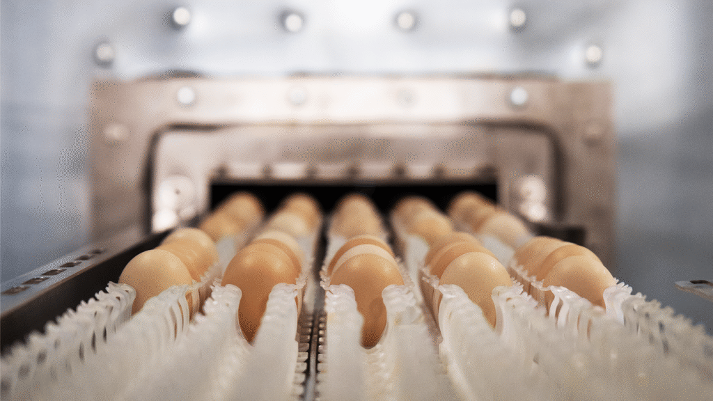 Blog - The Story of Orbem's Revolutionary Fertilization Status Detector | Orbem